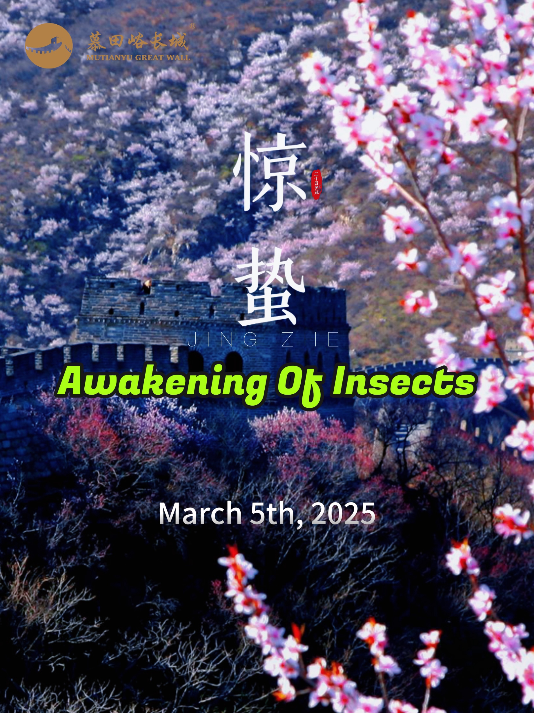 Chinese 24 Solar Terms | Awakening of Insects (Jingzhe)